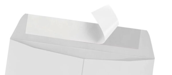 Envelope Printing | Custom Branded DL, C5 and C4 Envelopes